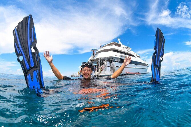 2 Day Great Barrier Reef, Daintree Rainforest & Cape Tribulation - The Highlights of the Tour Experience