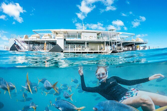 2-Day Great Barrier Reef: Reefsleep Experience - Immersive and Authentic Reef Experience
