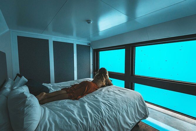 2 Day Great Barrier Reef "Reefsuites" Experience - Experience Quality & Review Highlights