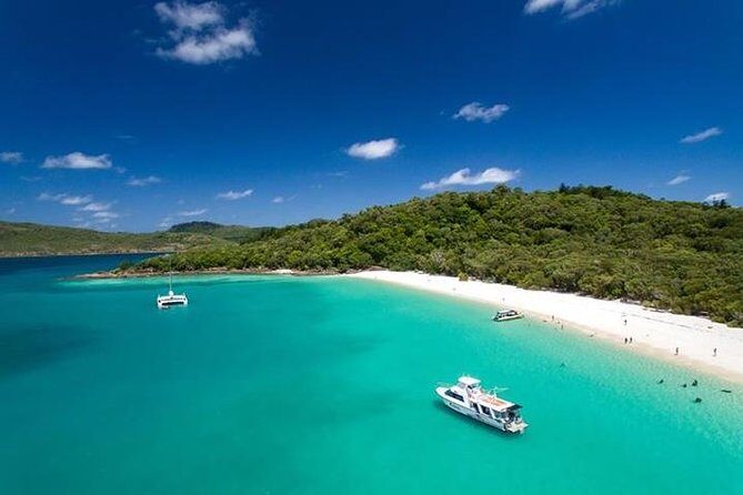 2 Day Great Barrier Reef "Reefsuites" Experience - Practical Tips