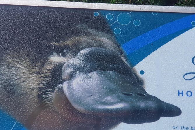 2 Day Great Ocean Road Tour and Platypus paddle - The Itinerary in Detail