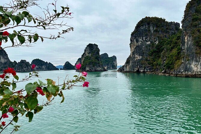 2-Day Guided Bai Tu Long Bay Boutique Cruises From Ninh Binh - An In-Depth Look at the Bai Tu Long Bay Boutique Cruise