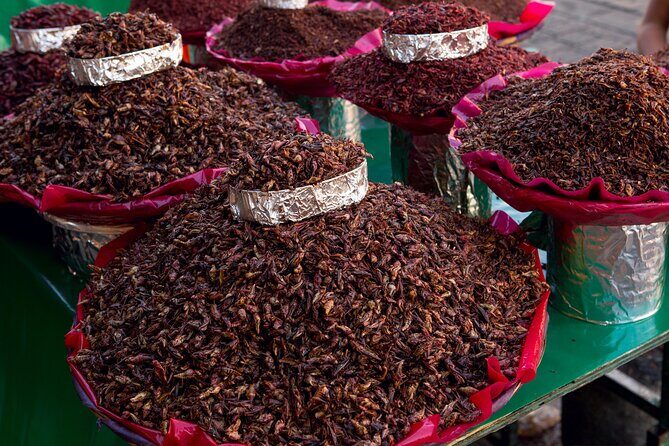 2-Day Guided Tour in Oaxaca with a Certified Guide - Practical Details and Value