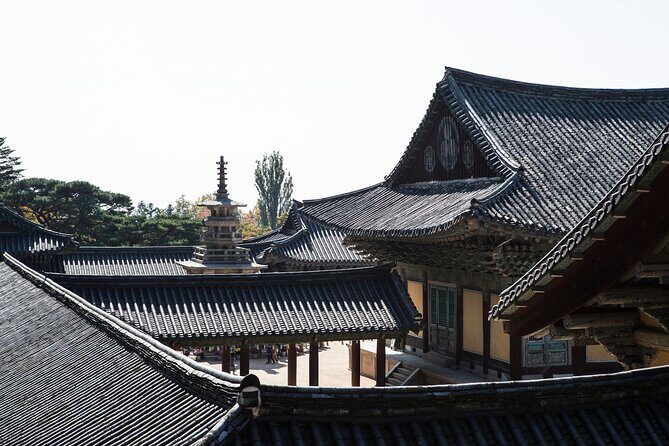 2-Day Gyeongju Rail Tour from Seoul - What Travelers Say