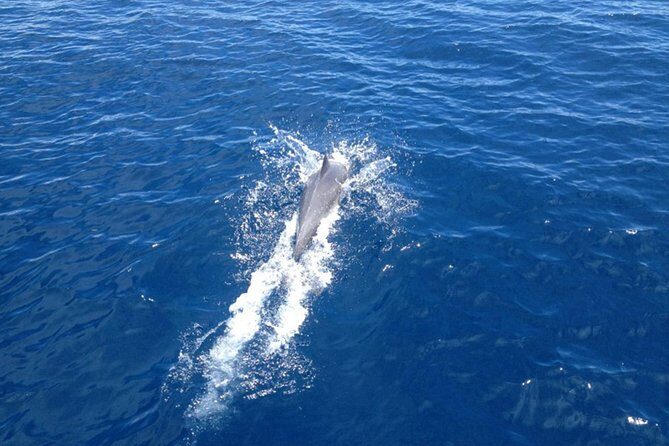 2-Day Halkidiki Sailing Cruise - Who Will Love This Tour?