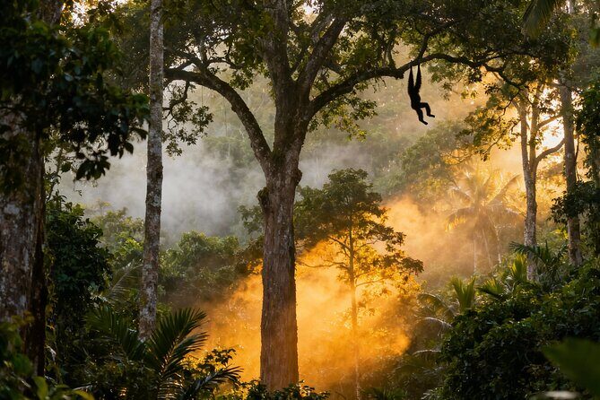 2-Day Hoolock Gibbons Wildlife Tour from Guwahati - Final Thoughts: Is This Tour Worth It?