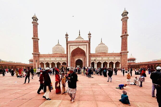 2-Day Jaipur, Jhalana Leopard & Sariska Tiger Safari - Value and Authenticity