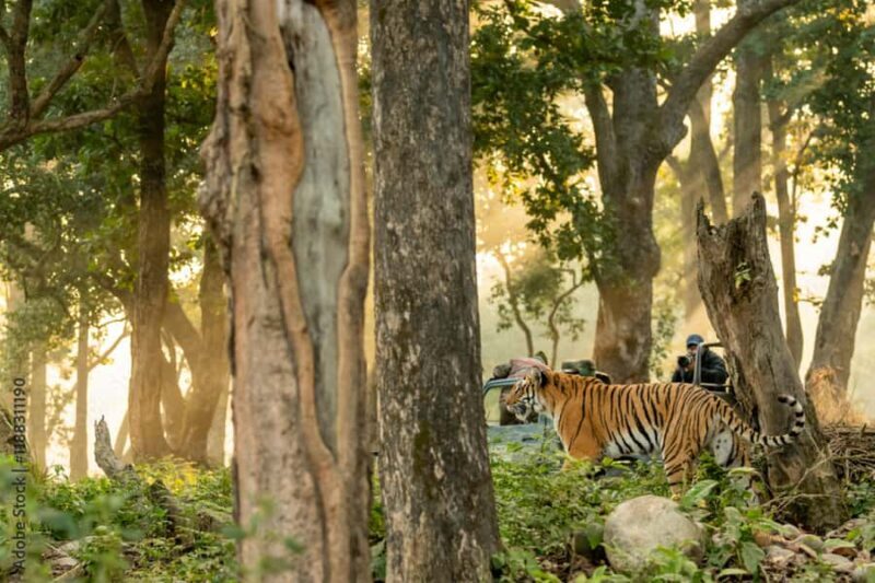 2 Day Jim Corbett National Park Tour from Delhi - Practical Tips for Travelers