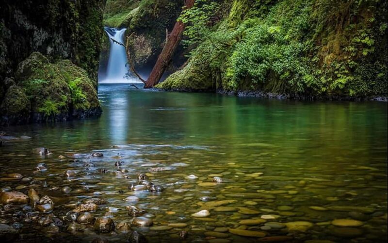 2-Day Jungle Safari: Chennai to Jim Corbett by Air via Delhi - The Itinerary in Detail