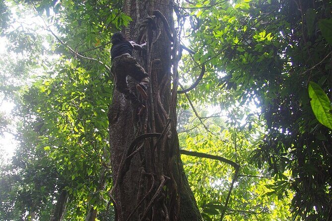 2-Day Jungle Trekking & Rafting in North Sumatra - Final Thoughts