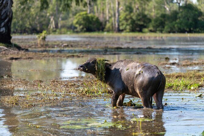 2 Day Kakadu Highlights Tour - The Overall Experience