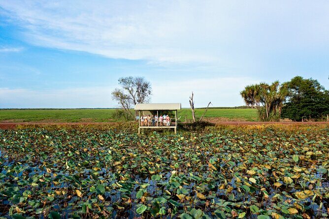 2 Day Kakadu Retreat & Yellow Water Cruise Tour from Darwin - What Travelers Say: Authentic Perspectives