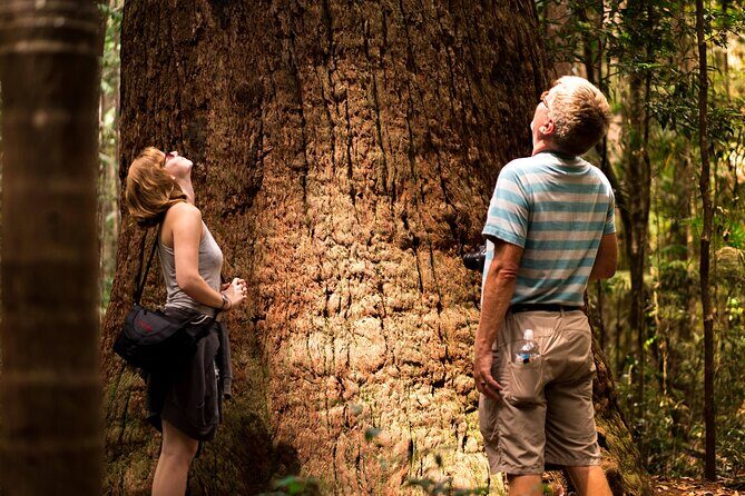 2 Day Kgari Fraser Island Small Group Camping Tour - Who Is This Tour Best For?