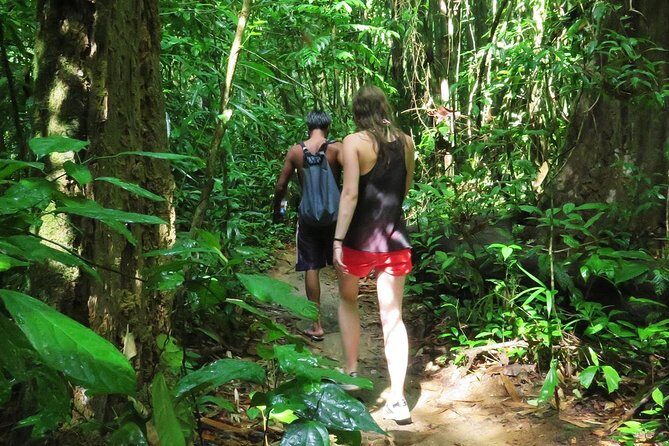 2-Day Khao Sok Jungle Safari from Krabi - The Itinerary: What to Expect at Each Step