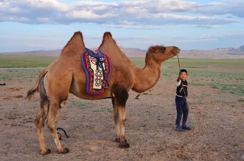 2-Day Kharkhorin Town, Granite Mountain, and Sand Dunes - A Deep Dive into the 2-Day Mongolian Journey