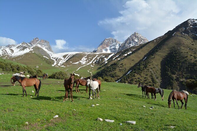 2-Day Kichi Alay Mountain Hiking Tour with Overnight Stay - Why This Tour Might Be Just Right for You