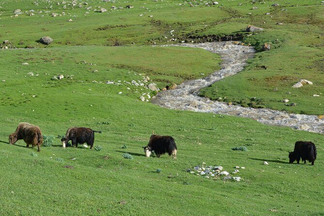 2-Day Kichi Alay Mountain Hiking Tour with Overnight Stay - Frequently Asked Questions