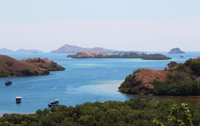 2-Day Komodo National Park and Rinca Island Wildlife Adventure from Bali - Key Points