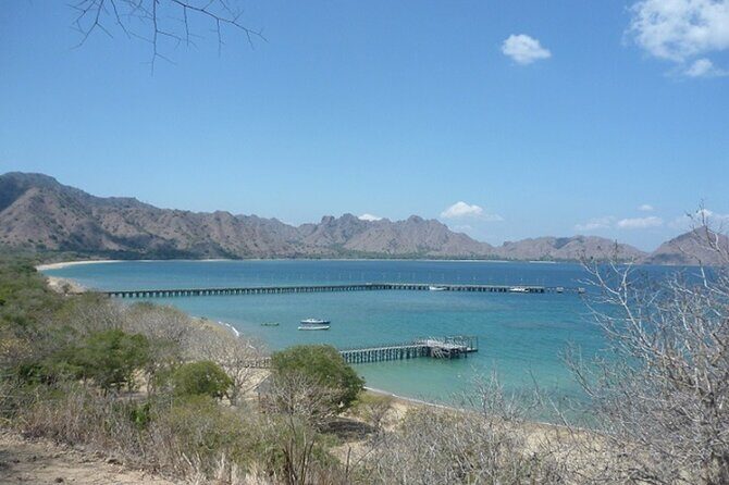 2-Day Komodo National Park and Rinca Island Wildlife Adventure from Bali - Final Thoughts: Who Should Consider This Tour?