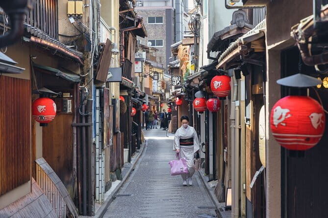 2 Day Kyoto and Nara Tour from Tokyo - The Overview: What to Expect