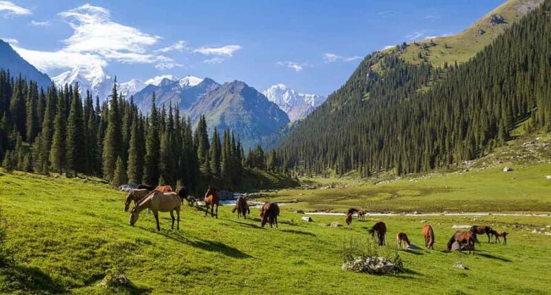 2-Day Kyrgyzstan Yurt Stay & Horse Riding Adventure - The Sum Up