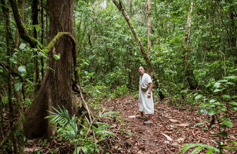 2 Day Lacandon Jungle, the Lost City and Bonampak Ruins - What’s Included and What’s Not
