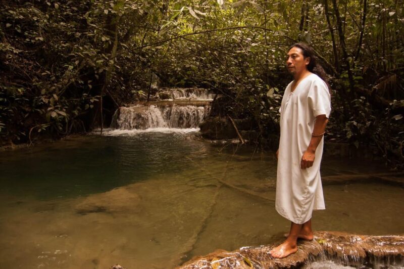 2 Day Lacandon Jungle, the Lost City and Bonampak Ruins - Who Will Appreciate This Tour?