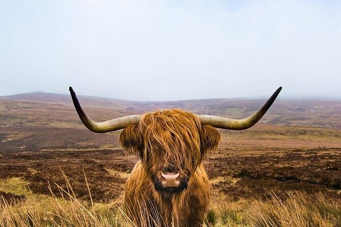 2-Day Loch Lomond, West Highlands, Glencoe & Oban Tour - Final Thoughts: Is It Worth It?