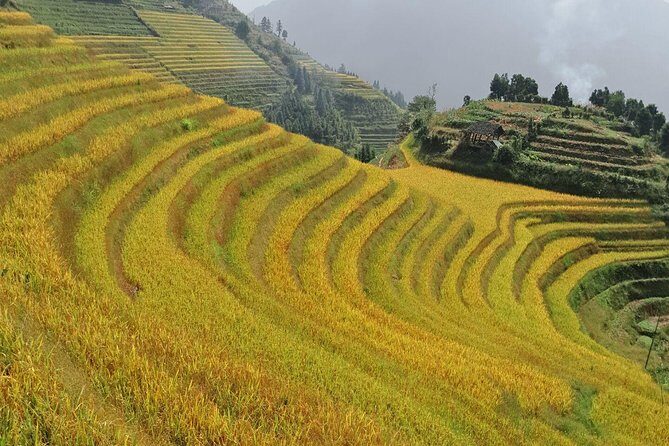 2 Day Longsheng Hot Spring Private Tour Combo Package - The Longsheng Hot Spring Private Tour: A Deep Dive