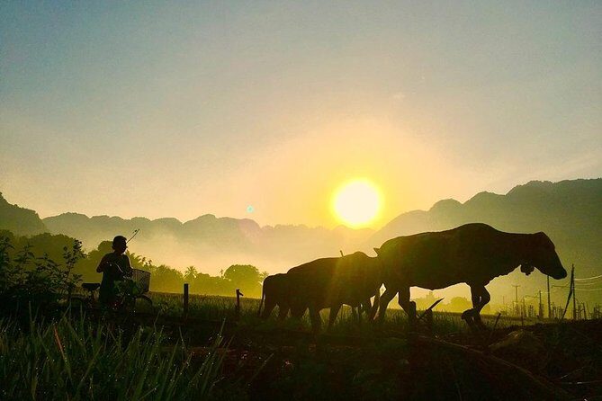 2-day Mai Chau and Pu Luong with round trip transfer from Hanoi - How the Experience Feels in Practice