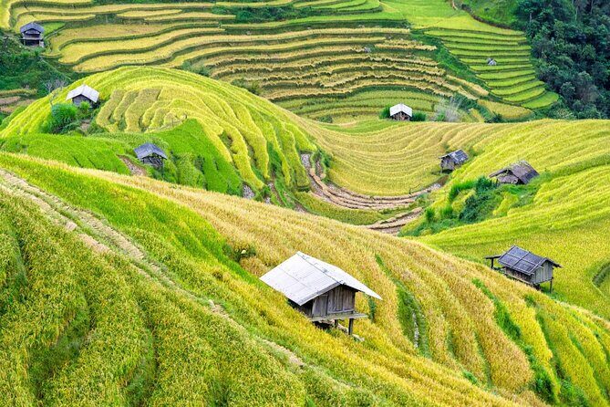 2 Day Mai Chau Journey Villages Rice Fields and Local Life - Who Will Love This Tour?