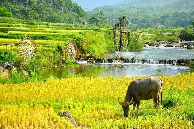 2-day Mai Chau Visit and Da River Boat Trip with round trip from Hanoi - FAQ