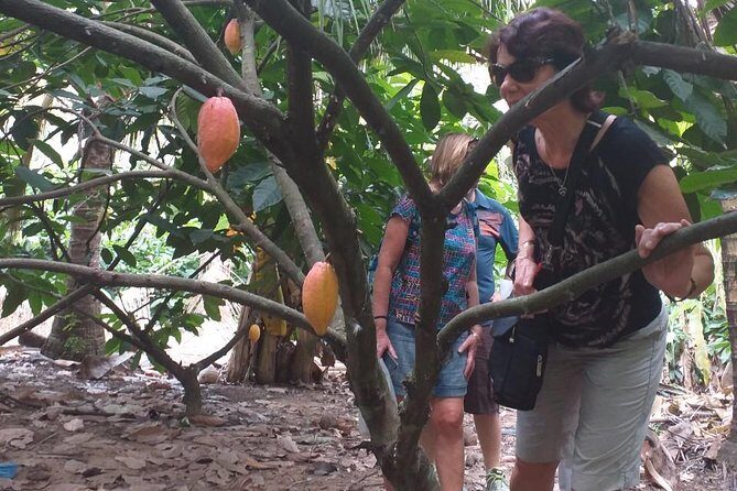 2-Day Mekong Delta with Cai Cang Floating Market from HCM City - Transport, Group Size, and Flexibility