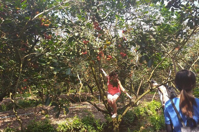 2-Day Mekong Delta with Cai Cang Floating Market from HCM City - The Sum Up