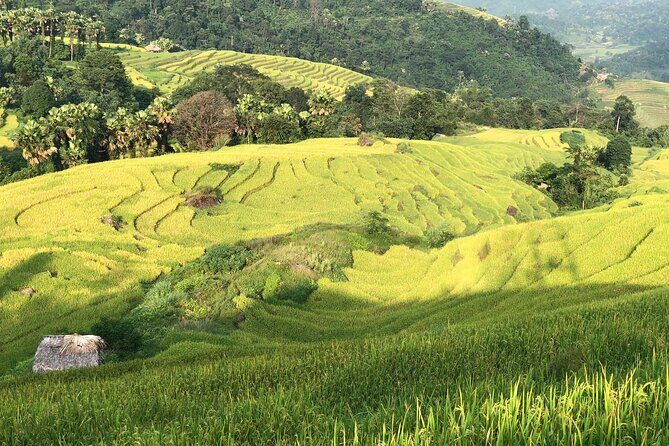 2-Day Motorbike Tour to Mu Cang Chai Loop from Sapa - A Detailed Look at the 2-Day Motorbike Tour