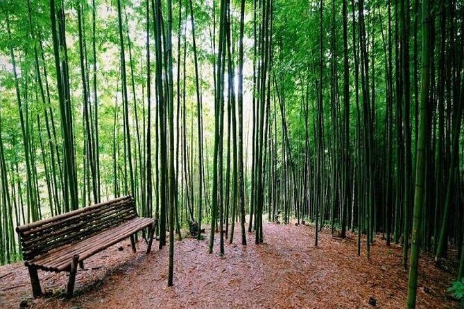 2-Day Motorbike Tour to Mu Cang Chai Loop from Sapa - Who Should Consider This Tour?