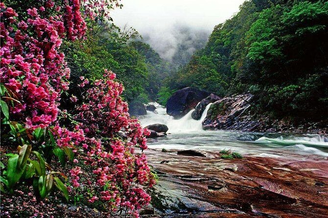 2-Day Mountain Wuyi Private Flexible Tour from Shanghai by Bullet Train - A Close Look at the Itinerary: What You Can Expect