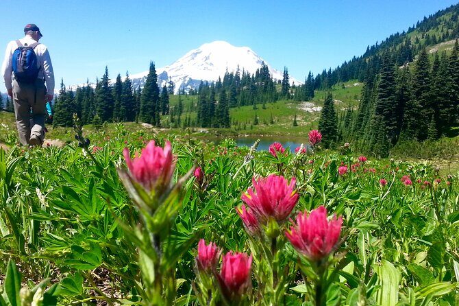 2 Day Mt Rainier All-Inclusive Small Group Tour - An In-Depth Look at the Mount Rainier Experience