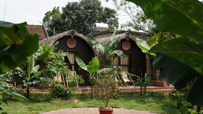 2 Day Ninh Binh: Hoa Lu/Bai Dinh- Trang An/Tam Coc- Mua Cave - The Practicalities and Value