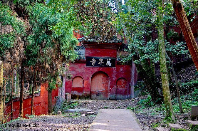 2-Day Panda Base plus Leshan Giant Buddha and Emei Mountain Tour - Day 2: Climbing Emei Mountain