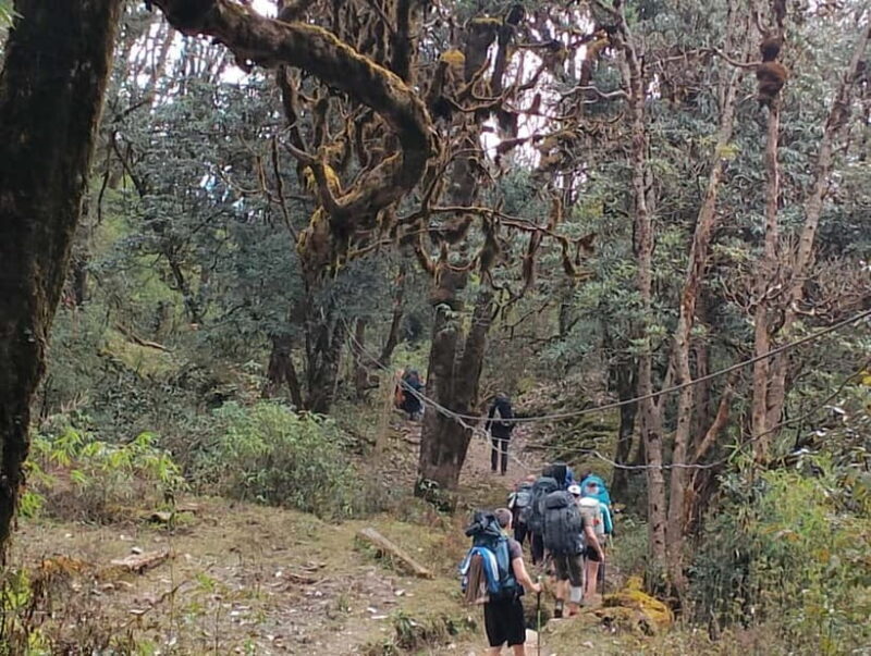 2-Day Poon Hill Hike: Catch the Best Sunrise in Nepal - The Experience of the Sunrise