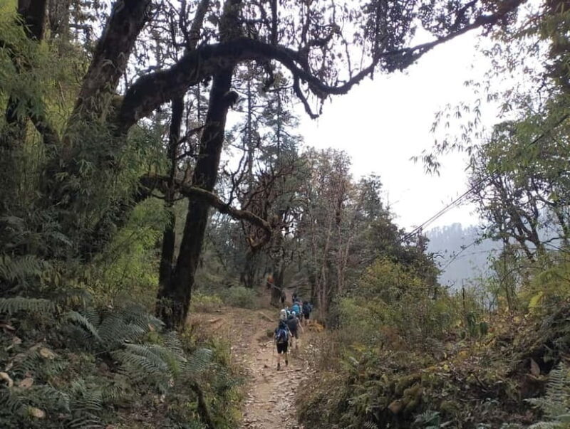 2-Day Poon Hill Hike: Catch the Best Sunrise in Nepal - Frequently Asked Questions