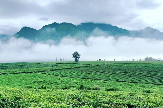 2-Day Private Car Tour from Sa Pa to Mu Cang Chai - Why This Tour Offers Great Value