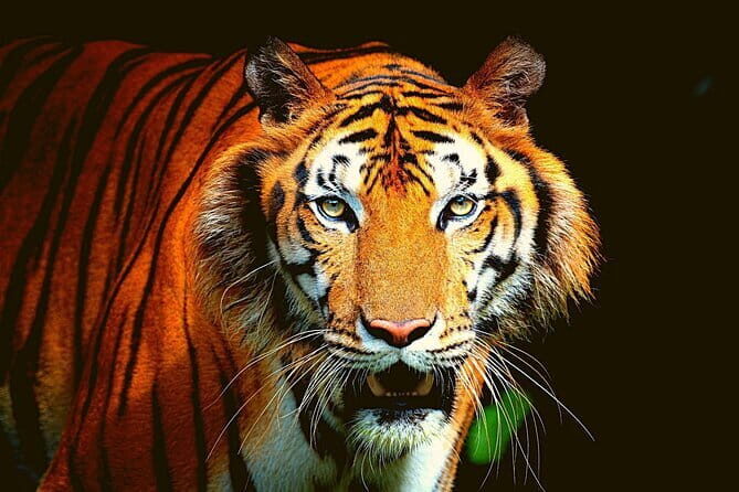 2-Day Private Luxury Jaipur Trip from Delhi - Exploring Jaipur in Style: A Closer Look at the 2-Day Private Tour