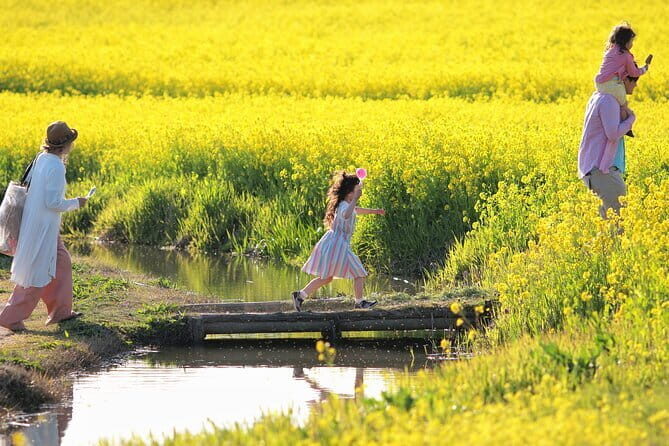 2 Day Private Luxury Tour through rural Japan (Fukushimagata) - The Sum Up: Who Would Benefit Most?