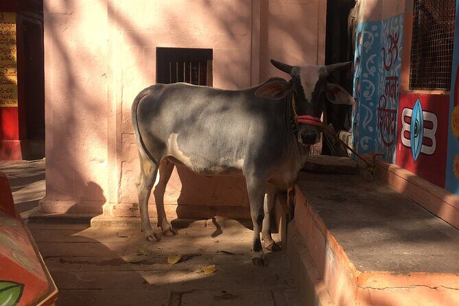 2 Day Private Mystical Varanasi Tour - A Complete Look at the 2-Day Mystical Varanasi Tour