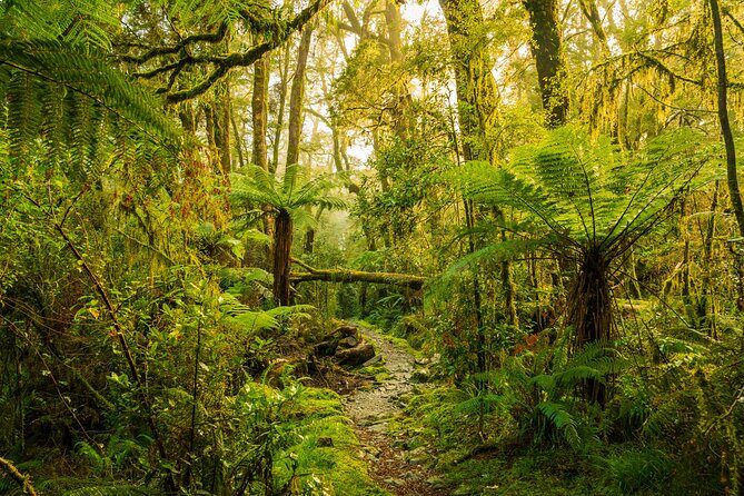 2-day Private Overnight Hurunui River Hot Springs Hike or Bike - Key Points