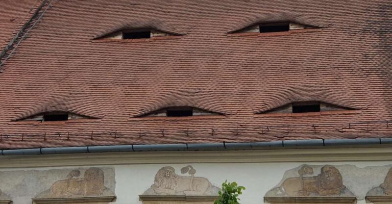 2 Day Private Tour from Bucharest in Transylvania - Who Will Love This Tour?