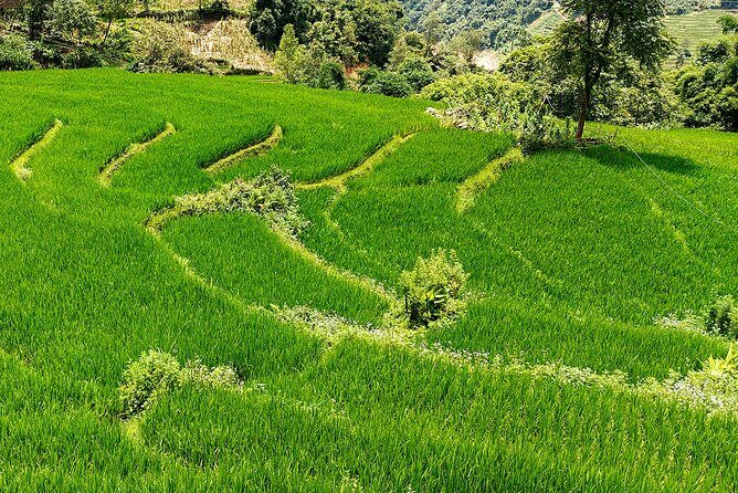 2 Day Private Tour from Sapa Waterfalls Villages and Hidden Gems - FAQ