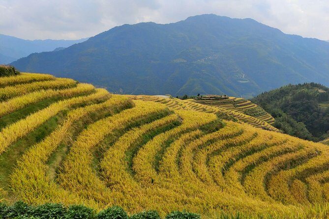 2-Day Private Tour: Longji Rice Terraces and Ziyuan Bajiaozhai Geography Park - What Travelers Say